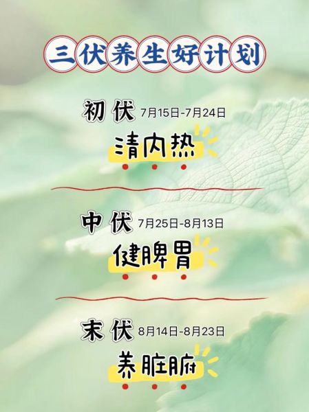 三伏天如何养生_三伏天吃什么最好-第1张图片-山城妙识
