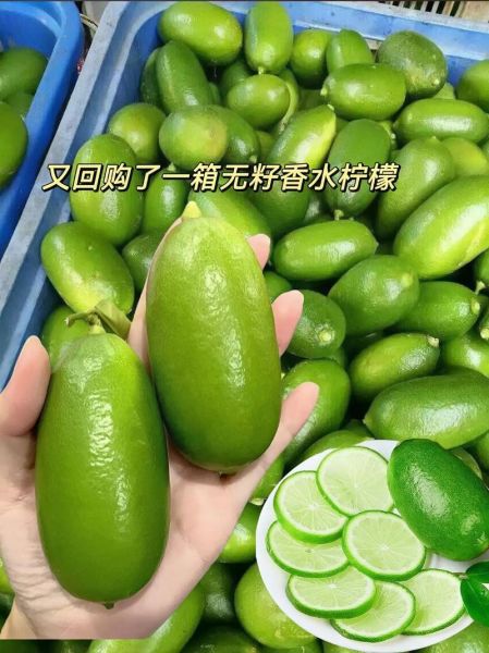 柠檬的拼音怎么写_柠檬的拼音是ning还是lin-第2张图片-山城妙识