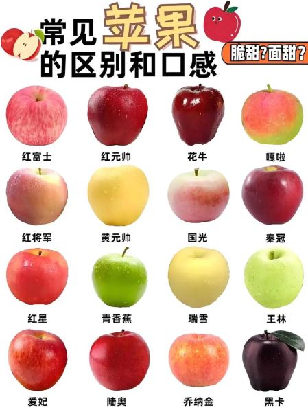 苹果图片真实照片_如何辨别原图-第2张图片-山城妙识