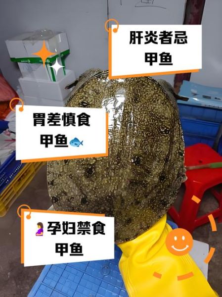 癌症病人吃甲鱼送命_甲鱼到底能不能吃-第2张图片-山城妙识