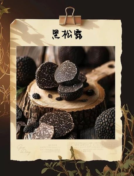 云南黑松露和法国黑松露区别_云南黑松露为什么便宜-第2张图片-山城妙识