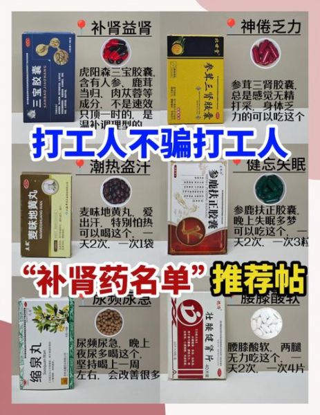 补肾气吃什么药最好_肾虚怎么调理最快-第3张图片-山城妙识