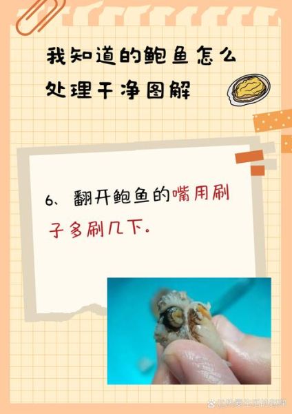 鲍鱼怎么洗最简单_鲍鱼清洗视频教程-第2张图片-山城妙识