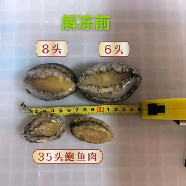 鲍鱼市场价多少钱一斤_鲍鱼价格为什么差异大-第2张图片-山城妙识
