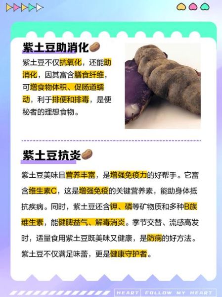 紫土豆的营养价值_紫土豆的功效与作用-第1张图片-山城妙识