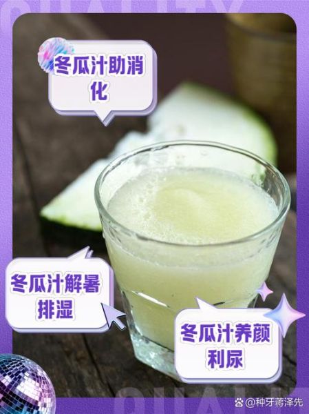 冬瓜汁副作用_冬瓜汁喝多了有什么坏处-第3张图片-山城妙识