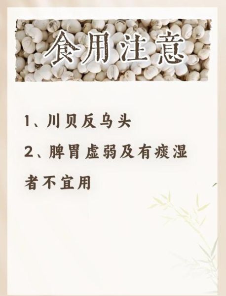 川贝粉的正确吃法每天吃几次_川贝粉一天吃几次效果最好-第1张图片-山城妙识