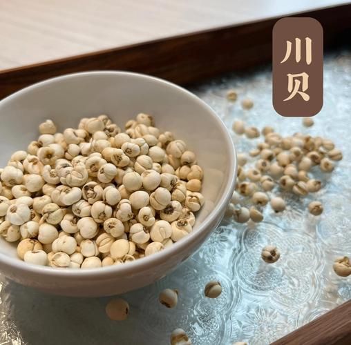 吃川贝的禁忌_哪些人不能吃川贝-第3张图片-山城妙识