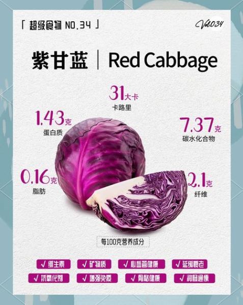 紫甘蓝的营养价值_紫甘蓝的功效与作用-第3张图片-山城妙识