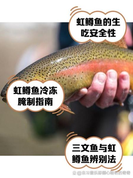 虹鳟鱼吃什么饵料_虹鳟鱼饵料配方大全-第2张图片-山城妙识
