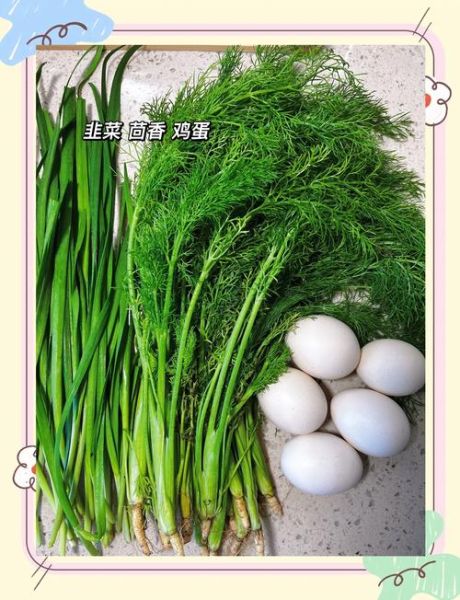 茴香饺子馅怎么调好吃_茴香饺子馅的做法大全-第2张图片-山城妙识
