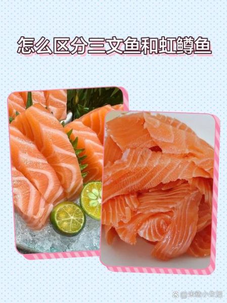 虹鳟鱼和三文鱼营养区别_哪个更适合减脂-第1张图片-山城妙识
