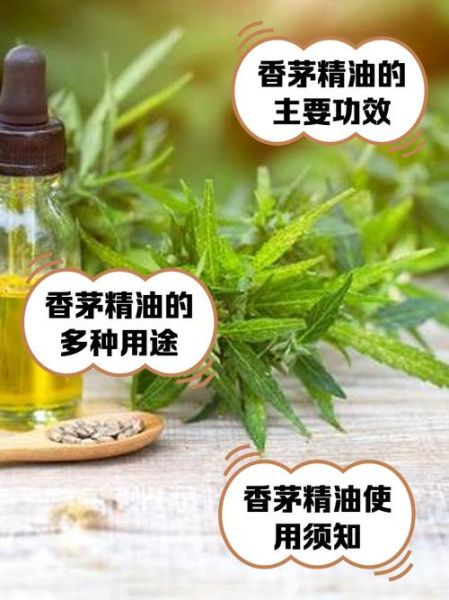 香茅油多少钱一斤_香茅油价格影响因素-第2张图片-山城妙识