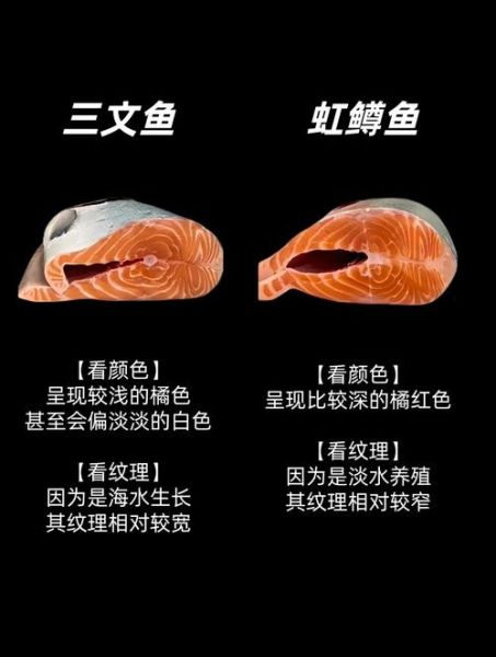 虹鳟鱼和三文鱼营养区别_哪个更适合减脂-第3张图片-山城妙识