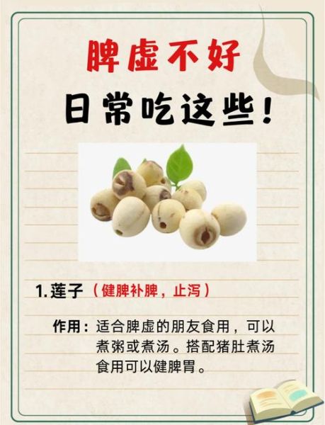 补脾的食物有哪些_脾虚吃什么食物好得快-第1张图片-山城妙识