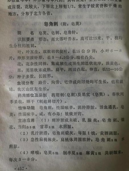 皂角刺的功效与作用_皂角刺能治什么病-第3张图片-山城妙识