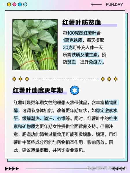红薯叶怎么吃_红薯叶的营养价值有哪些-第1张图片-山城妙识