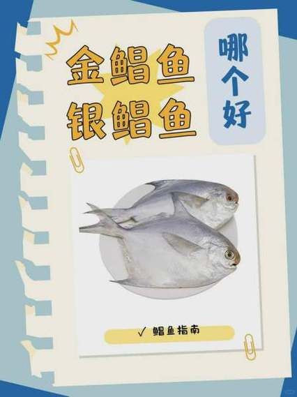 金鲳鱼与银鲳鱼哪个好_口感营养价格全面对比-第1张图片-山城妙识