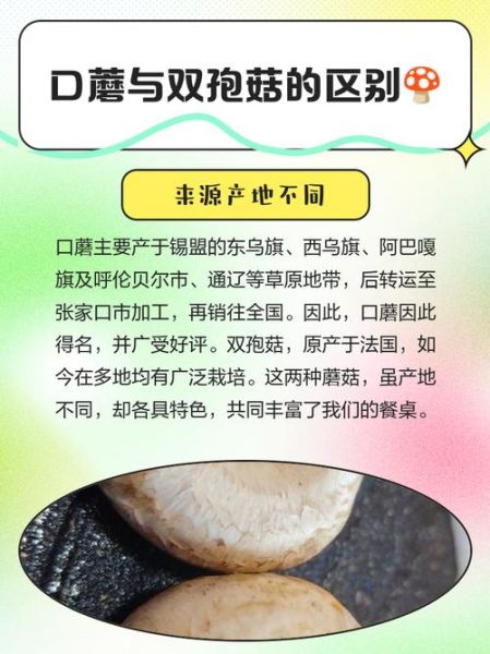 口蘑是什么_口蘑和香菇的区别-第2张图片-山城妙识