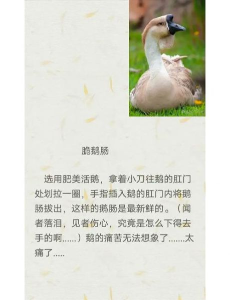 中国十大禁菜有哪些_为什么会被禁止-第1张图片-山城妙识