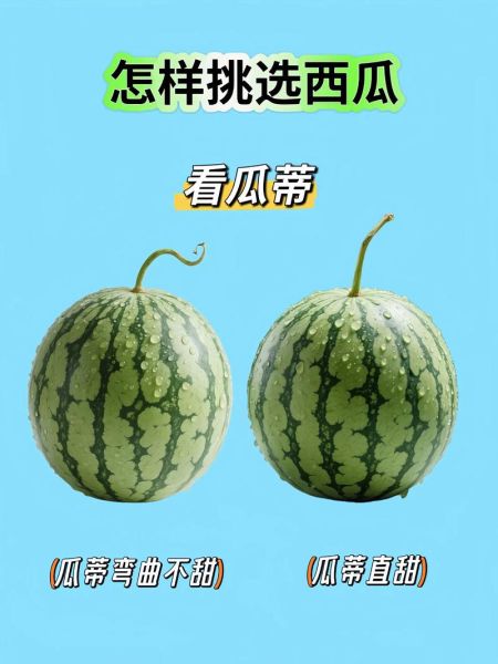 西瓜怎么挑选甜的_西瓜怎么保存时间长-第3张图片-山城妙识