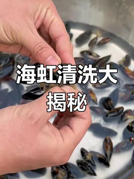 海虹怎么清洗_海虹怎么吃视频教程-第1张图片-山城妙识