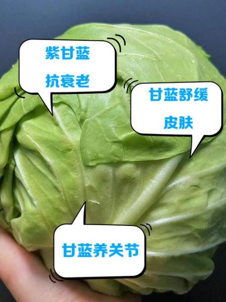 青甘蓝的营养价值_青甘蓝怎么吃最健康-第1张图片-山城妙识