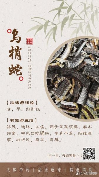 乌梢蛇的功效与作用_乌梢蛇能治什么病-第1张图片-山城妙识