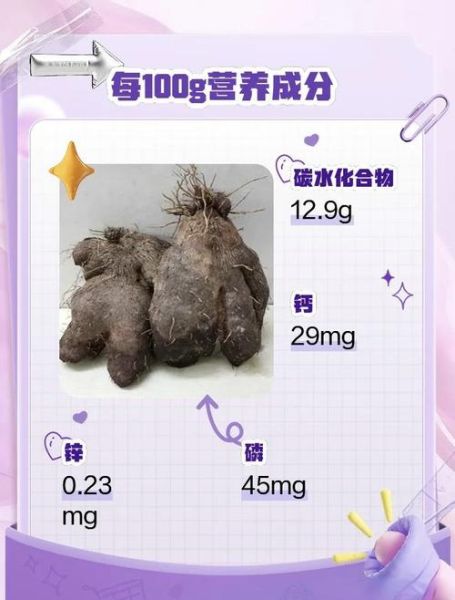 脚板薯怎么种植_脚板薯和山药的区别-第1张图片-山城妙识