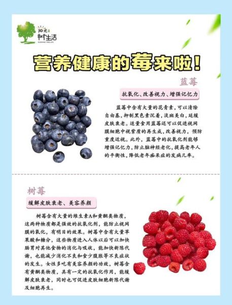 蓝莓怎么吃最好吃_蓝莓的10种吃法有哪些-第1张图片-山城妙识 蓝莓怎么吃最好吃_蓝莓的10种吃法有哪些-第1张图片-山城妙识