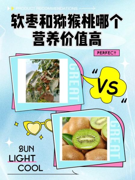 软枣猕猴桃的营养价值_软枣猕猴桃的功效与作用-第1张图片-山城妙识