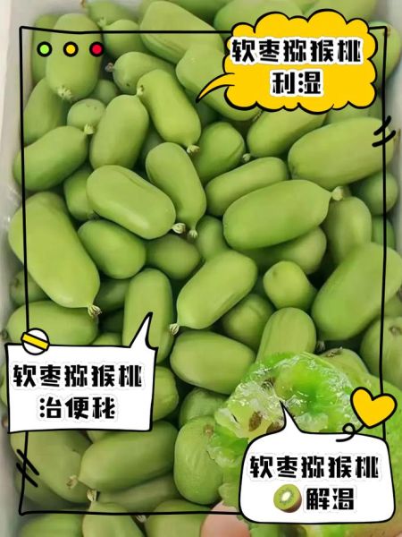 软枣猕猴桃的营养价值_软枣猕猴桃的功效与作用-第3张图片-山城妙识