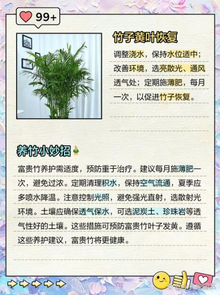 节节高升竹子怎么养_节节高升竹子黄叶怎么办-第1张图片-山城妙识