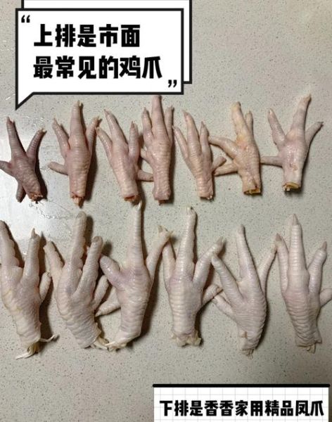 鸡爪图片真实_如何辨别真假-第1张图片-山城妙识