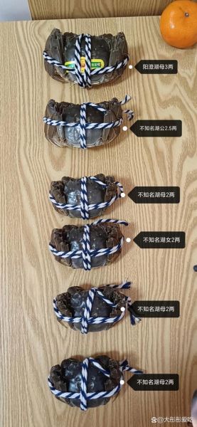 阳澄湖大闸蟹去哪里买正宗_如何辨别真假-第1张图片-山城妙识
