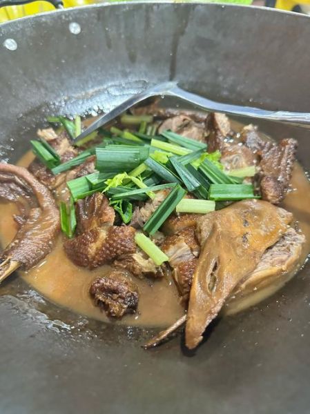鹅的做法怎么做好吃_鹅肉怎么炖才香-第1张图片-山城妙识