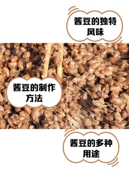 酱豆怎么做_酱豆的做法家常-第2张图片-山城妙识