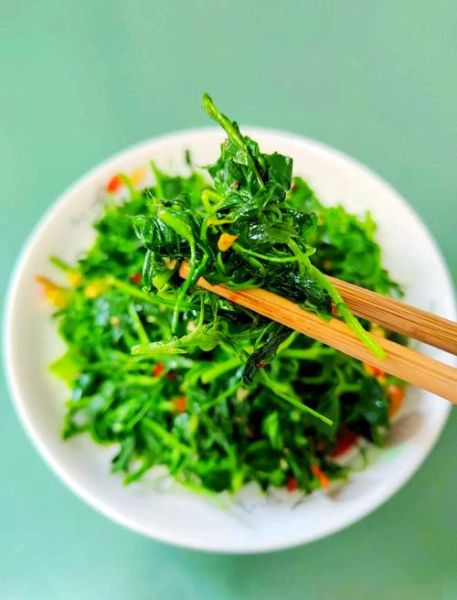 苜蓿怎么吃_苜蓿怎么做才好吃-第1张图片-山城妙识 苜蓿怎么吃_苜蓿怎么做才好吃-第1张图片-山城妙识