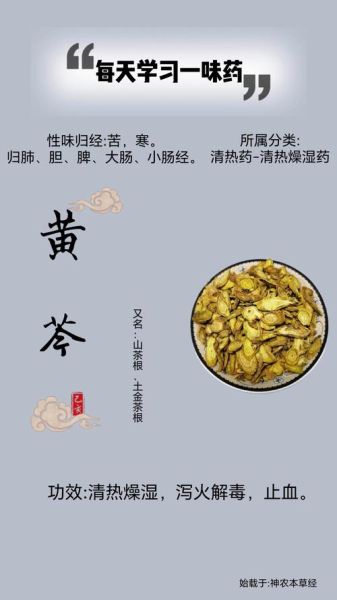 黄芩片的功效与作用_黄芩片能长期吃吗-第3张图片-山城妙识
