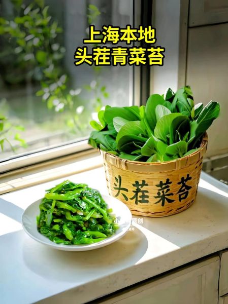 春季时令蔬菜有哪些_夏季时令蔬菜有哪些-第2张图片-山城妙识