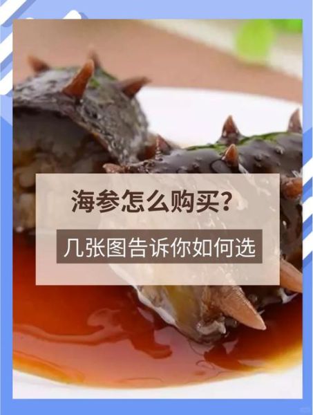 一斤辽参多少钱_如何挑选正宗辽参-第1张图片-山城妙识