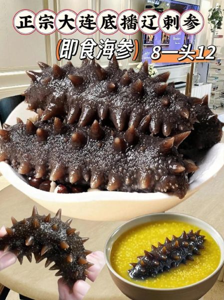 一斤辽参多少钱_如何挑选正宗辽参-第3张图片-山城妙识