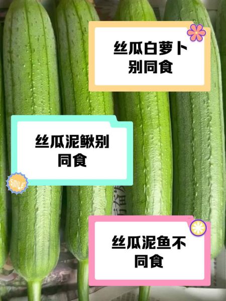 丝瓜和什么一起炒最好吃_丝瓜不能和什么一起吃-第1张图片-山城妙识