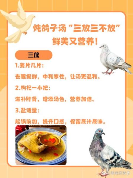 鸽子怎么炖不腥_鸽子汤去腥技巧-第1张图片-山城妙识