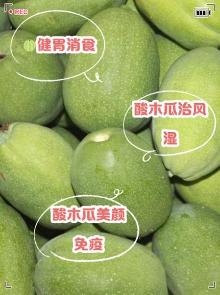 酸木瓜的功效与作用有哪些_酸木瓜怎么吃效果最好-第2张图片-山城妙识