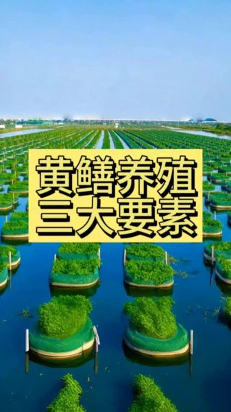 黄鳝养殖技术哪里学_黄鳝养殖培训哪家好-第1张图片-山城妙识 黄鳝养殖技术哪里学_黄鳝养殖培训哪家好-第1张图片-山城妙识