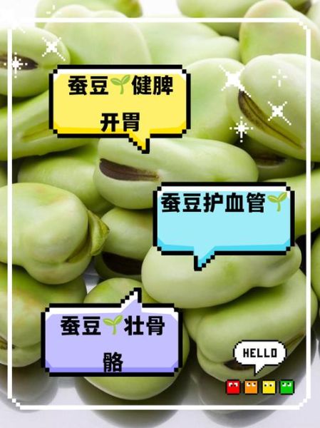 蚕豆的营养价值及功效与作用_蚕豆吃多了会上火吗-第1张图片-山城妙识