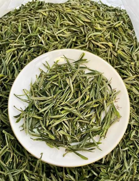 黄山毛峰新茶多少钱一斤_2024年最新行情-第1张图片-山城妙识
