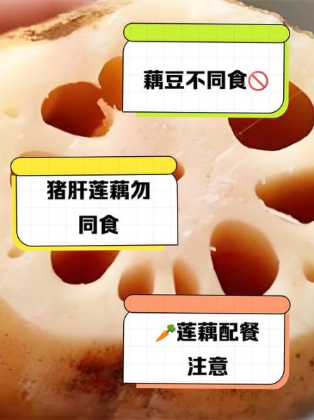 莲藕不能和什么一起吃_六种相克食物清单-第2张图片-山城妙识
