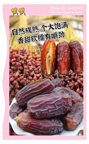 黑椰枣的功效与作用_黑椰枣怎么吃最好-第1张图片-山城妙识 黑椰枣的功效与作用_黑椰枣怎么吃最好-第1张图片-山城妙识